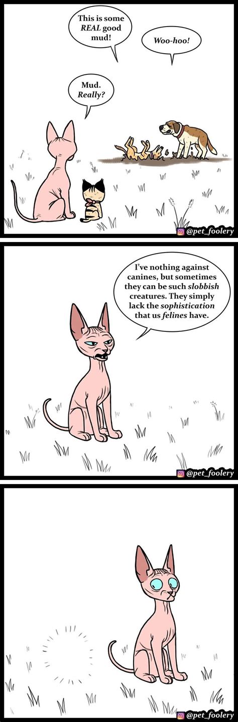 Pixie And Brutus Comics Already Have Over 23m Followers And Here Are Their 18 Newest Strips