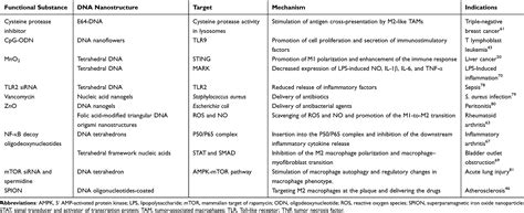 Macrophage Targeting Dna Nanomaterials Ijn