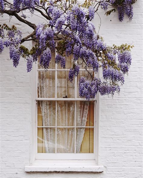 Essential Tips For Choosing And Maintaining Your Windows