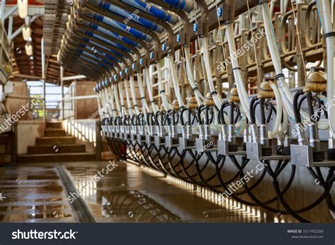 Milk Factory Out View Images Stock Photos Vectors Shutterstock