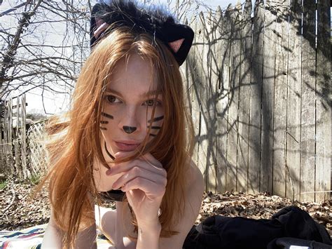 The Cutest Kitty Scrolller The Cutest Kitty Scrolller