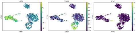 hands on clustering 3k pbmcs with scanpy clustering 3k pbmcs with
