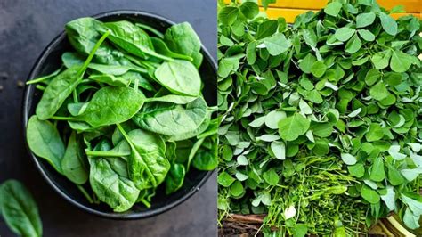 Health Tips सर्दियों के मौसम में खाएं ये 5 साग स्वाद के साथ मिलेगी