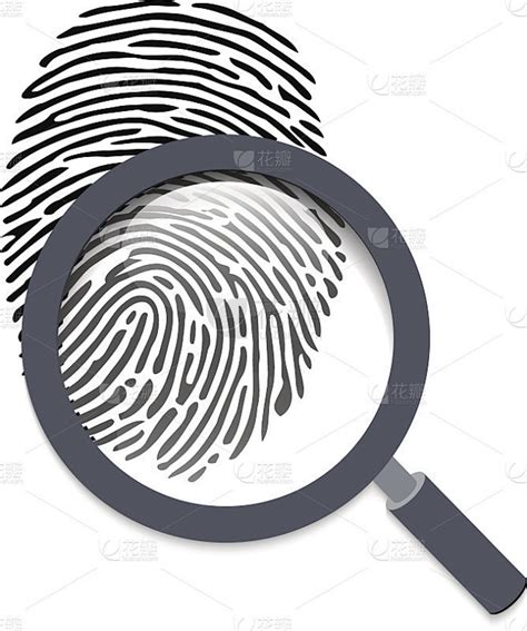 指纹，搜索安全数据，矢量图
