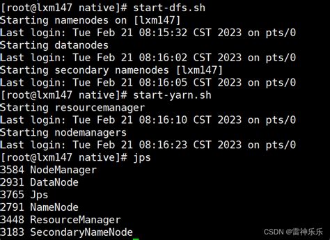 Hadoop Start Dfs Sh Warn Util Nativecodeloader Unable To Load Native Hadoop