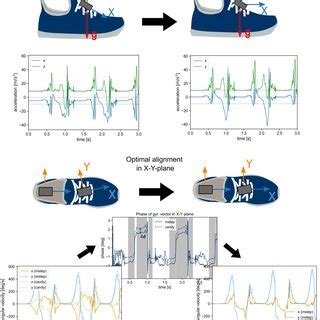 Visual Representation Of The Two Step Alignment Procedure The Image Download Scientific