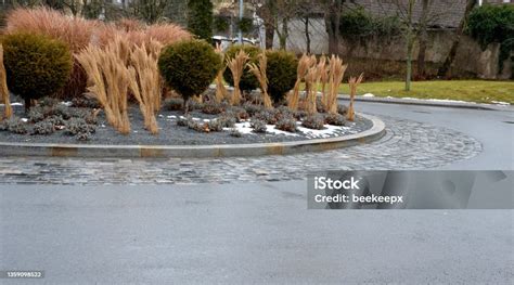 포장 회색 화강암 큐브의 원형 교통 허브 원의 중간에 꽃과 잔디 녹색 공과 라벤더 블루 꽃 자갈 뿌리 덮개의 모양으로 모양의 수착기 0명에 대한 스톡 사진 및 기타 이미지