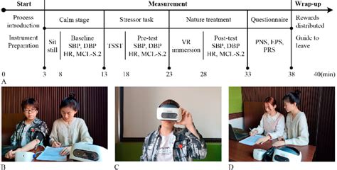 Schematic Diagram Of The Experiment A Experimental Flow Chart B Download Scientific