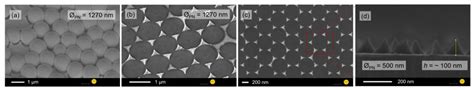 Proceedings Free Full Text Nanofabrication Of Vertically Aligned 3d