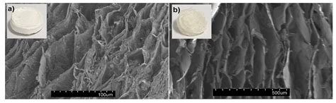 Alginate Cryogels As A Template For The Preparation Of Edible Oleogels