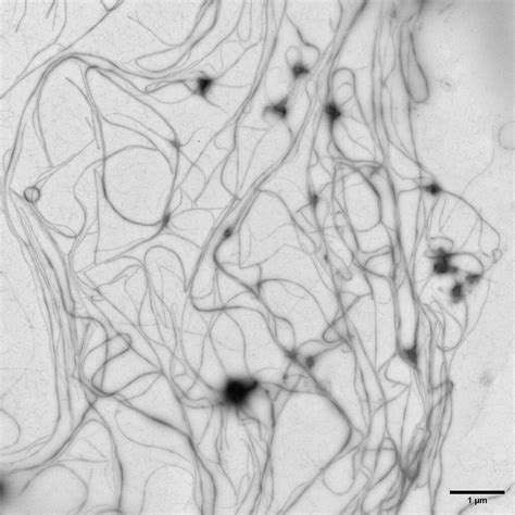 image analysis on long nanofibers in cell profiler or imagej image