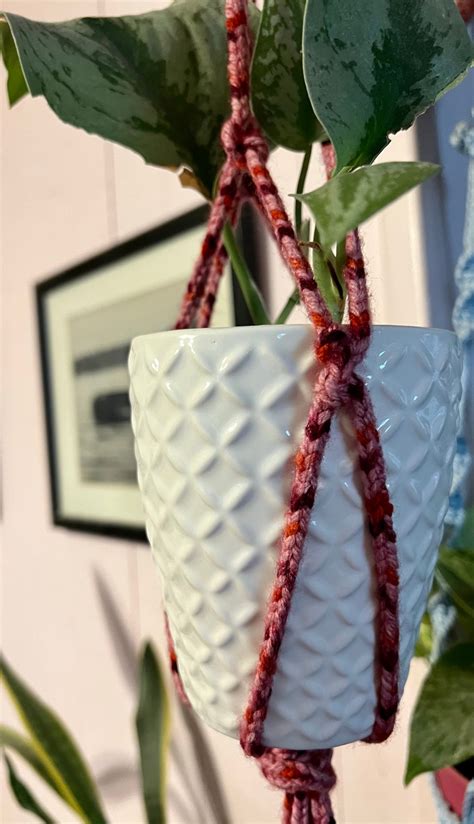 Lucet Cord Project Simple Plant Hanger Rya Knot
