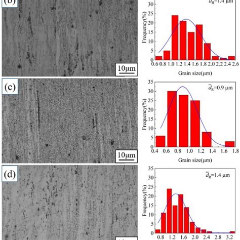E Om Micrographs And The Corresponding Recrystallization Grain Size