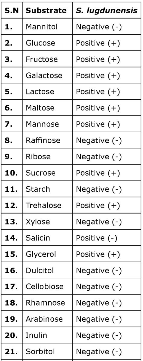 Comprehensive Guide To Staphylococcus Lugdunensis Biology Pathogenesis And Treatment