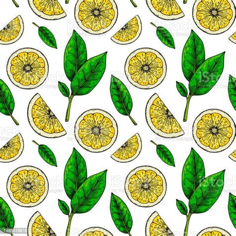 레몬 슬라이스 원활한 패턴입니다 스케치 스타일로 다채로운 손으로 그린 벡터 그림 열대 이국적인 감귤류 여름 배경 0명에 대한 스톡 벡터 아트 및 기타 이미지 Istock