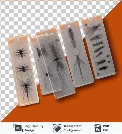 Premium Psd Premium Of Realistic Photographic Zooplankton Researcher Premium Psd Premium Of Realistic Photographic Zooplankton Researcher