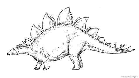 Stegosaurus Drawing At Explore Collection Of