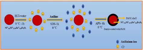 Schematic Diagram Of A Polyaniline Nizn Ferrite By The In Situ Download Scientific Diagram