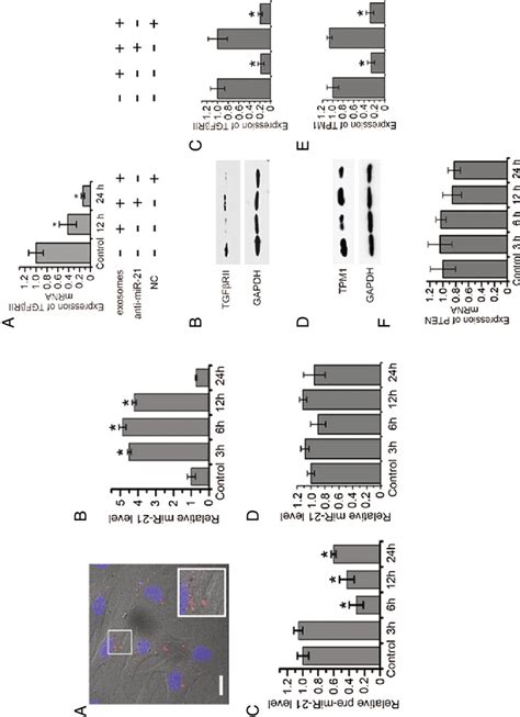 Left And Right Figures Are Figs And Of Reference Download Scientific Diagram