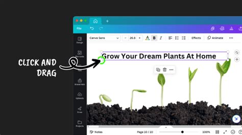 Easy Ways To Wrap Text In Canva
