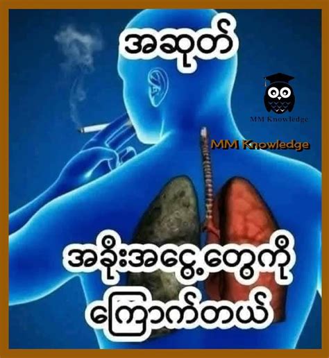 အိမ်ရှင်မတို့အတွက် Added A New Photo အိမ်ရှင်မတို့အတွက်