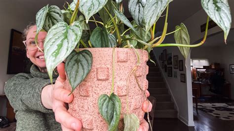 Bloom Where You Ve Been Planted