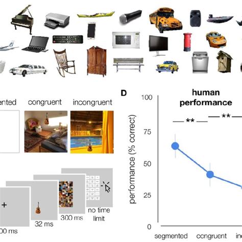 Stimuli And Experimental Design A Examples Of The Different Object Download Scientific