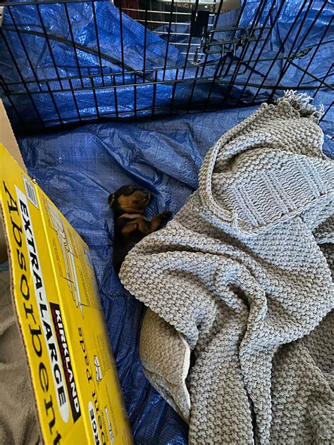 Tiny Unit Kod R Tinyunits