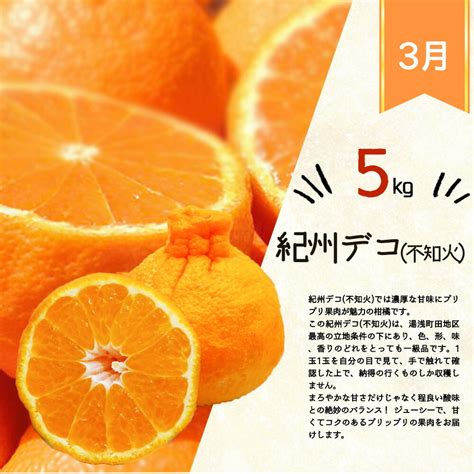G60 T44 【定期便 全3回】紀州和歌山産旬の柑橘セット（みかん・紀州デコ・清見） 和歌山県湯浅町 Jre Mallふるさと納税