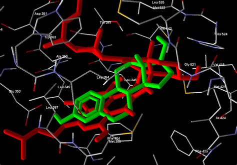 Compound 1 Showed Hydrogen Bonds Interaction With Erα Lbd Active Site Download Scientific Diagram