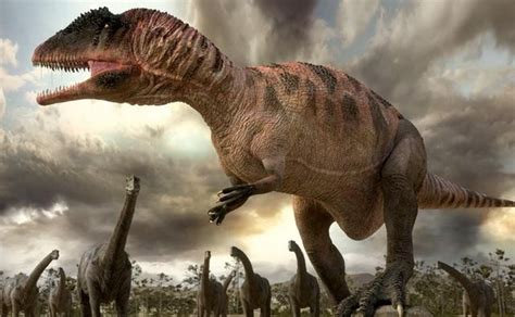 Carcharodontosaurus Pictures And Facts The Dinosaur Database