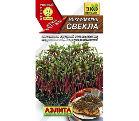 Микрозелень СВЕКЛА, 5 г. АЭЛИТА | отзывы