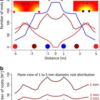 Computed Number Of Roots For Two Interacting Root Systems As A Function Download Scientific