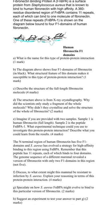 Solved Fibronectin Binding Protein A Fnbpa Is A Surface