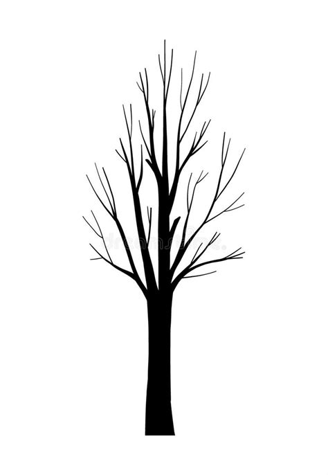 Decorative Leafless Tree Silhouette Stock Illustrations 608