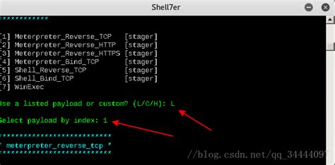 Kali Linux捆绑工具shellter的安装及使用 Csdn博客