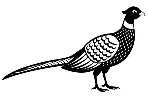 Ring Necked Pheasant Silhouette Design 54135182 Vector Art At Vecteezy