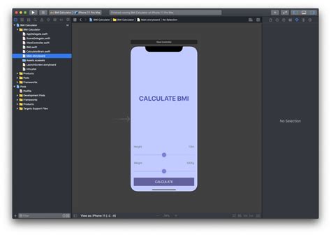 How To Add Flutter Modules To Native Ios Project And Test It On