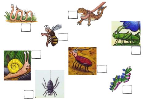 Superworm Bug Hunt Teaching Resources