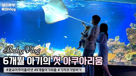 [육아브이로그] 6개월 아기의 첫 아쿠아리움 🐳 아기 외출 Vlog 기저귀 가방싸기 광교 아쿠아플라넷 Youtube