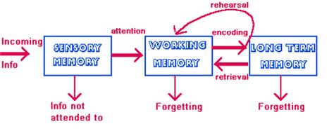 [diagram] iphone 5 memory diagram mydiagram online