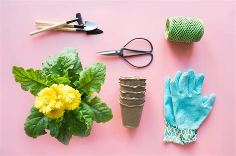 거 베라 도구 및 분홍색에 꽃과 원 예 배경 평면도 복사 공간 바로 위에 대한 스톡 사진 및 기타 이미지 바로 위 원예 위에 Istock