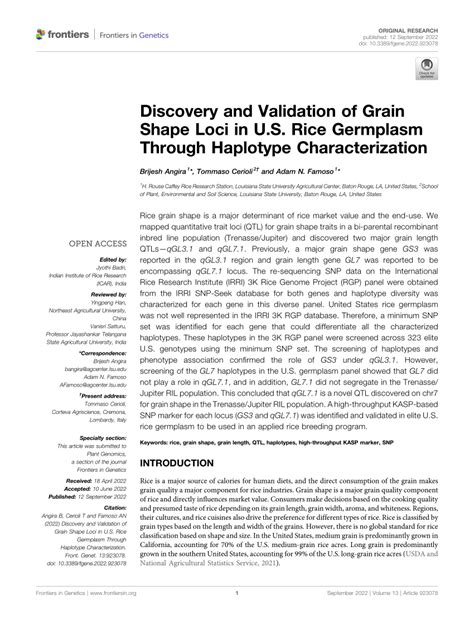 Pdf Discovery And Validation Of Grain Shape Loci In Us Rice Germplasm Through Haplotype