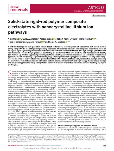 Solid State Rigid Rod Polymer Composite Electrolytes With