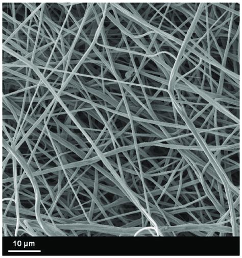 Sem Image Of The Pvdf Trfe Nanofibers Download Scientific Diagram