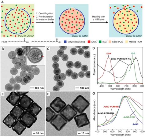 Encapsulation Of Pcm In Hollow Nanoparticles With One Or Multiple Holes