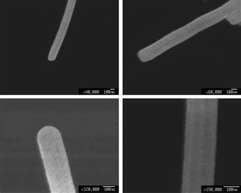 Fe Sem Micrographs Of 500 • C Annealed Individual Tio2 Nanorods Grown Download Scientific Fe Sem Micrographs Of 500 • C Annealed Individual Tio2 Nanorods Grown Download Scientific