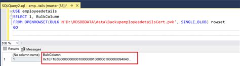 Cross Account Migration Of Amazon Rds For Sql Server With Column Level