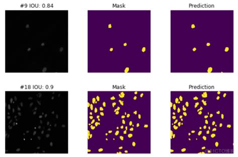 U Net图像语义分割实战：训练自己的数据集51cto博客图像语义分割数据集