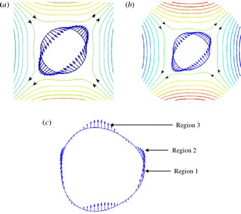 Colour Online Comparison Of Forces On Circular And Non Circular Download Scientific Diagram